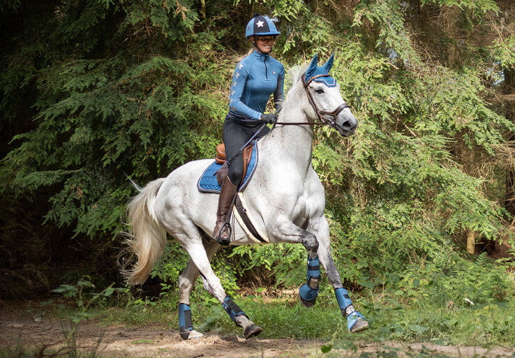 Horse Tack and Accessories – EveryDay Equestrian