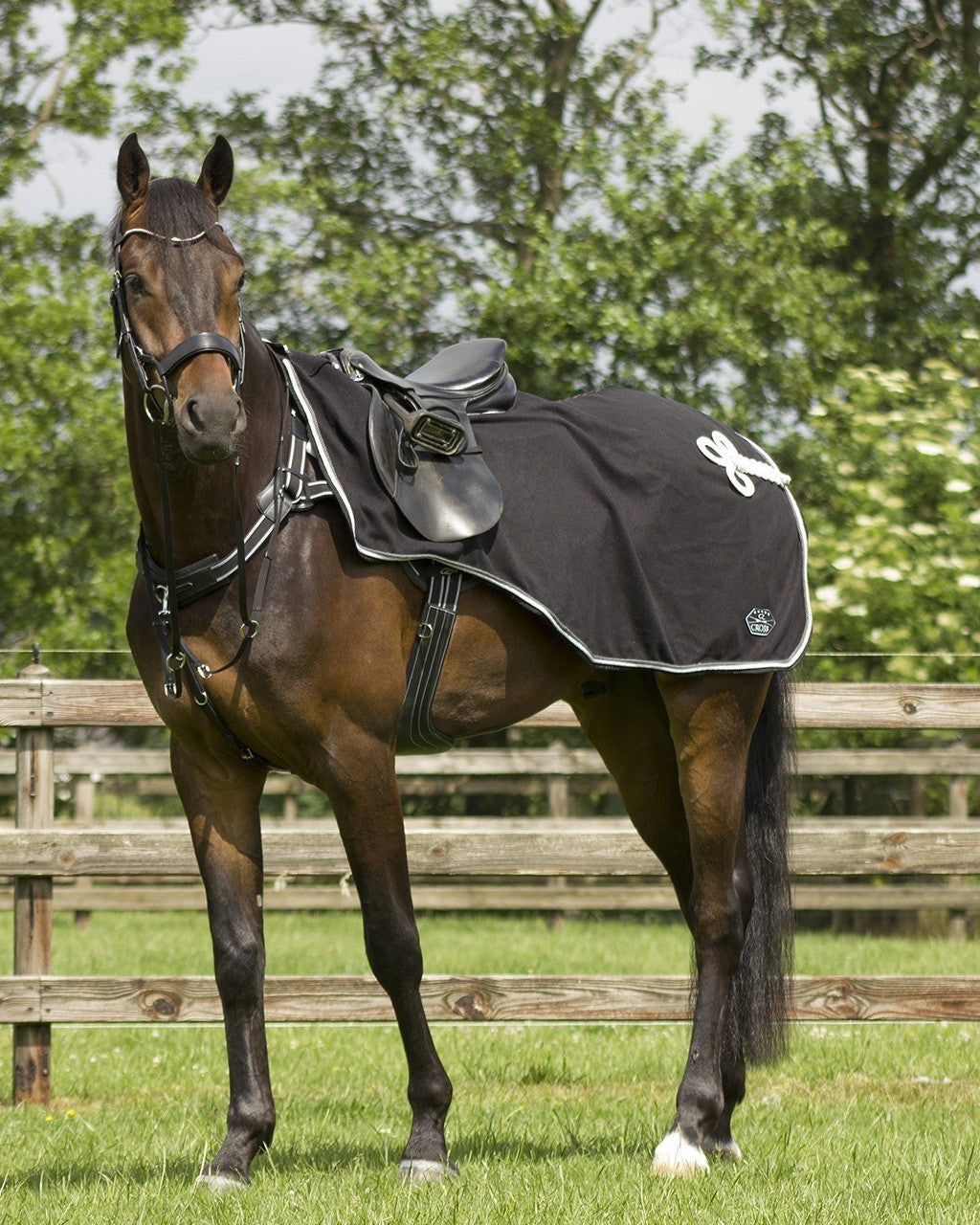 Exercise & Quarter Sheets – EveryDay Equestrian