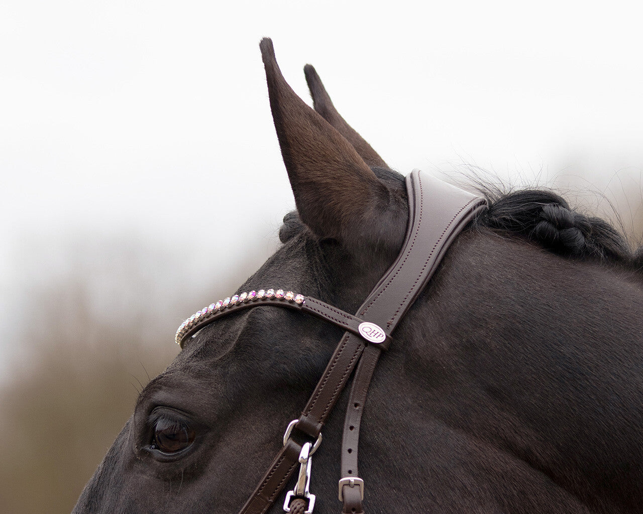 QHP Sunna Multi-functional Bitless Bridle – EveryDay Equestrian