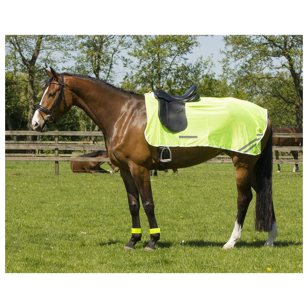 QHP Reflective Exercise Sheet – EveryDay Equestrian