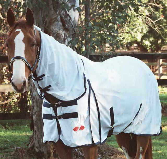 Zilco - Equestrian Products - Australia – EveryDay Equestrian