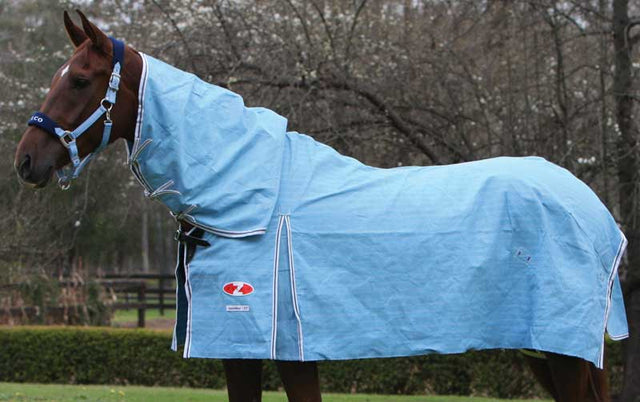 Zilco - Equestrian Products - Australia – EveryDay Equestrian