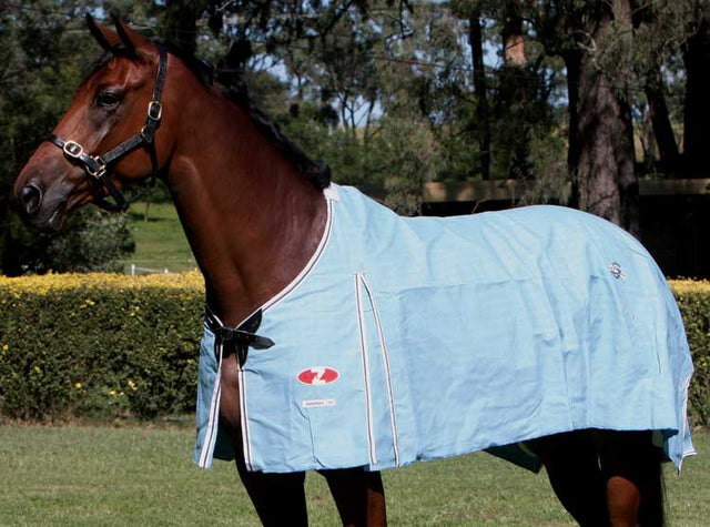 Zilco - Equestrian Products - Australia – EveryDay Equestrian